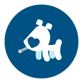 DogHero: saiba como funciona e quais serviços oferece